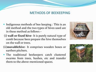 Bee keeping | PPT