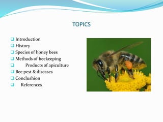 Bee keeping | PPT