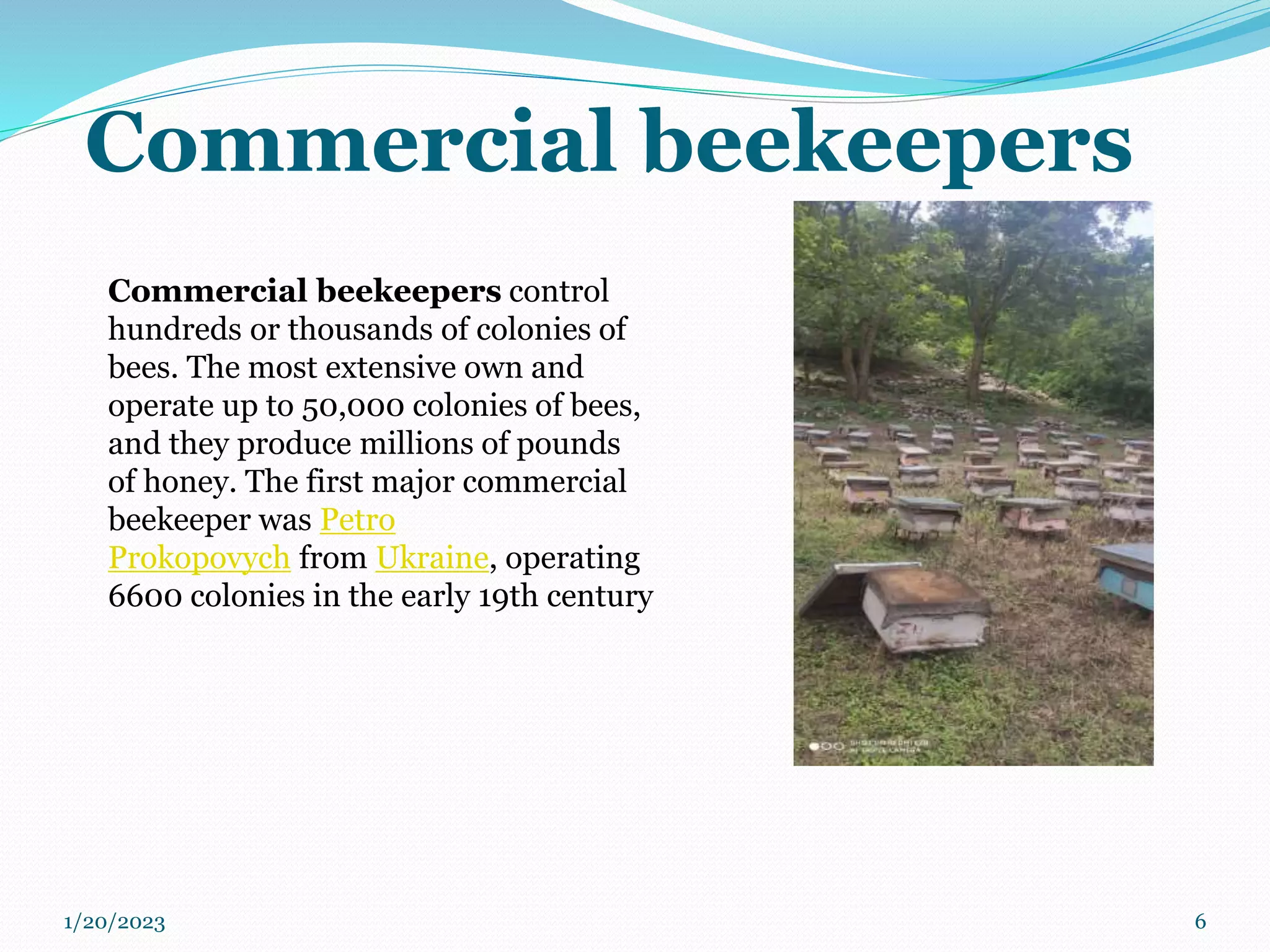 BEEKEEPING.pptx