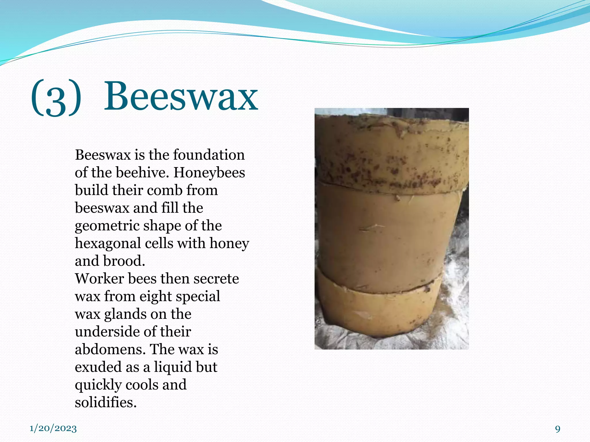 BEEKEEPING.pptx