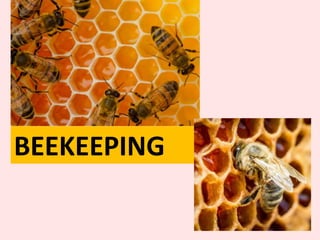 Beekeeping.pptx
