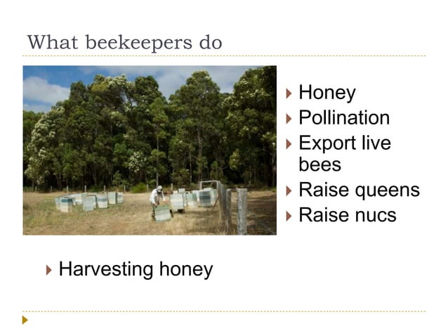 Beekeeping an introduction | PPTX | Beekeeping | Hobbies & Interests