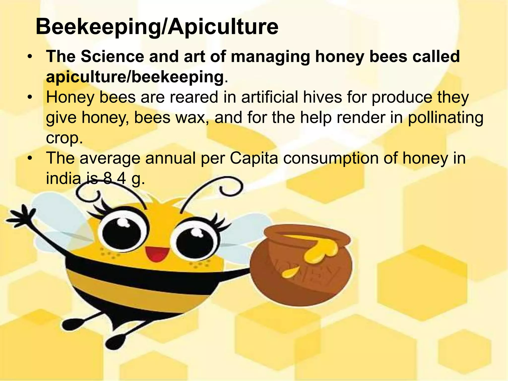 Beekeeping | PPTX