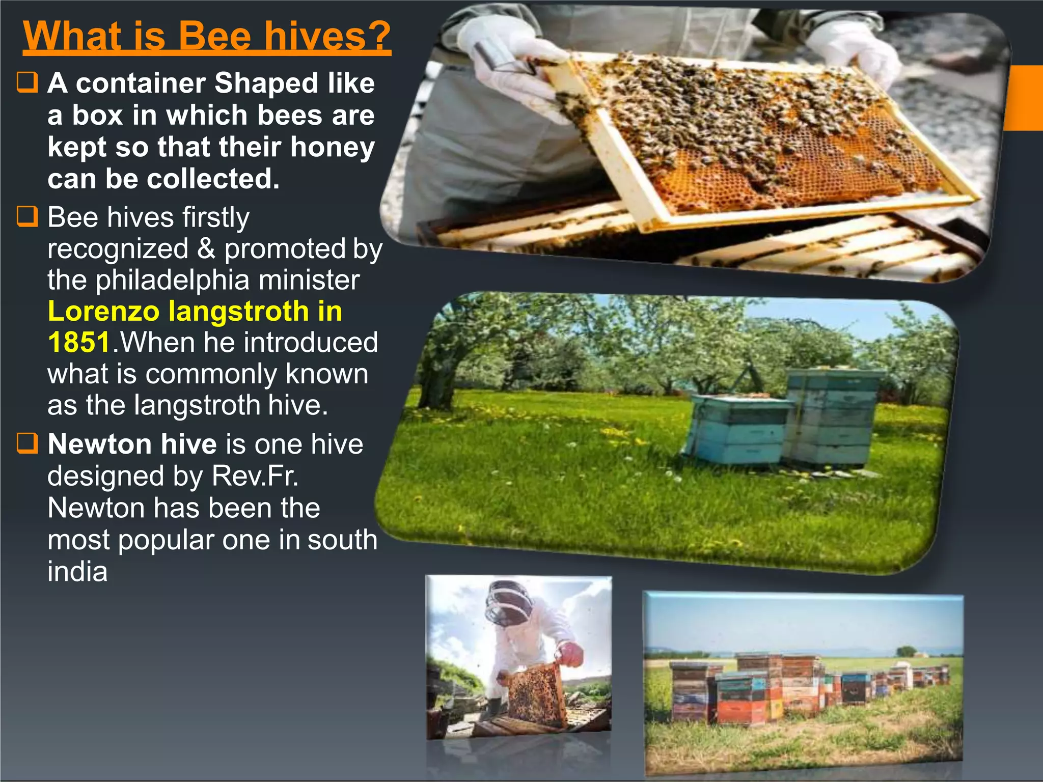 Beekeeping | PPTX
