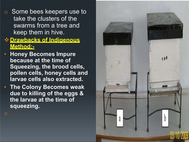 Beekeeping | PPTX | Agriculture | Industries