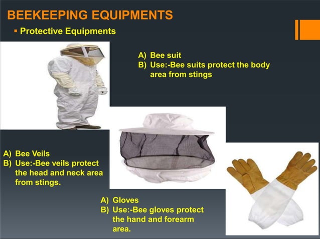 Beekeeping | PPTX | Agriculture | Industries
