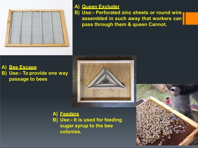 Beekeeping | PPTX | Agriculture | Industries