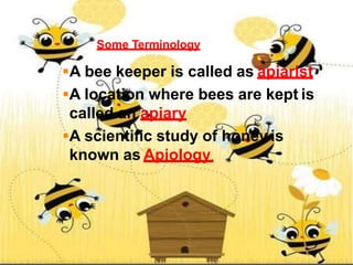 Beekeeping | PPTX