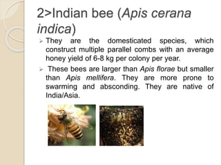 Bee keeping - supporting business to Indian farming | PPTX