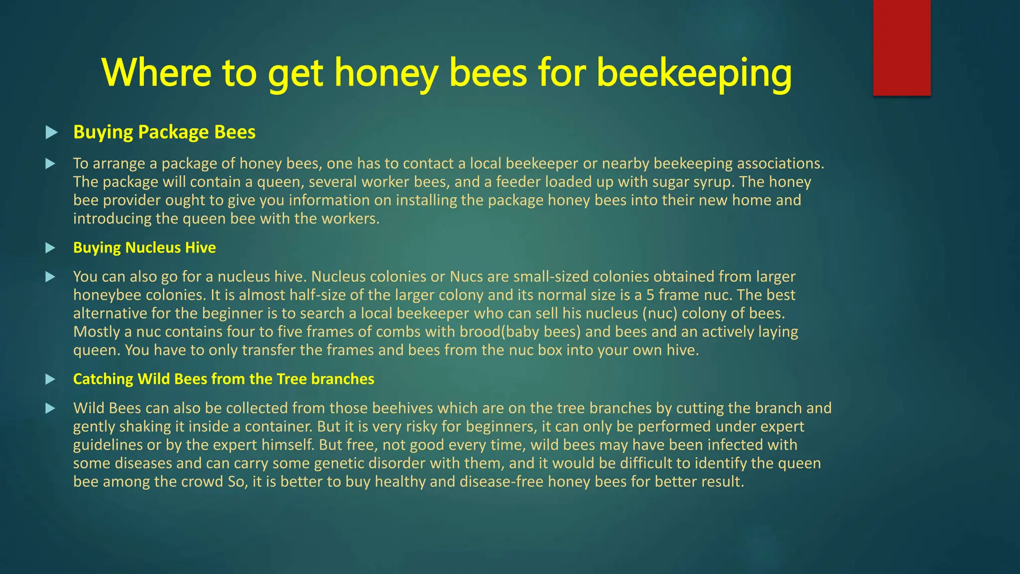 rearing of bees is called as bee keeping | PPTX