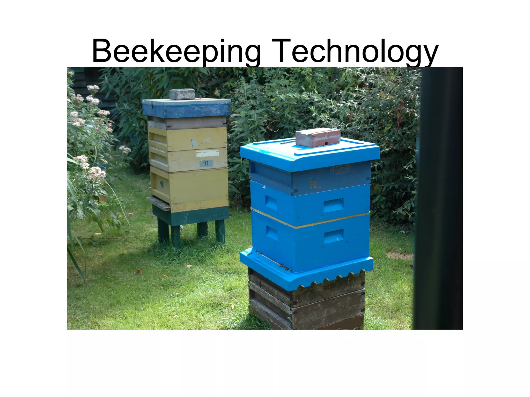 Introduction to beekeeping | PPT