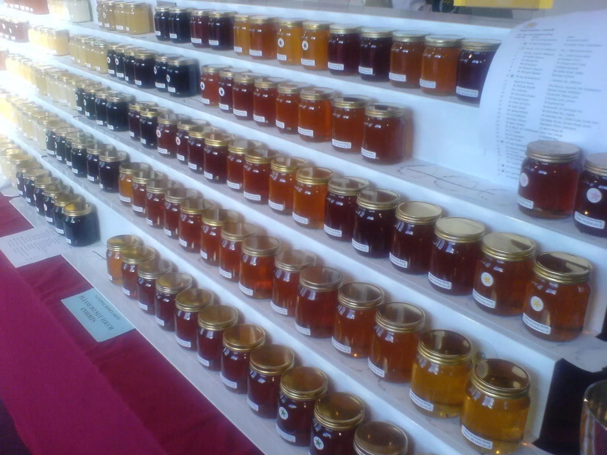 Introduction to beekeeping | PPT