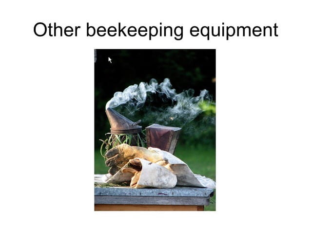 Introduction to beekeeping | PPT