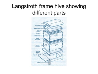 Bee keeping equipments | PPT
