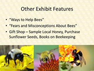 Beekeeping exhibit | PPTX