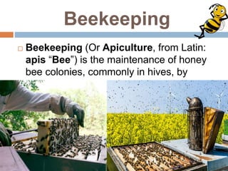 Beekeeping indusrties in india | PPTX
