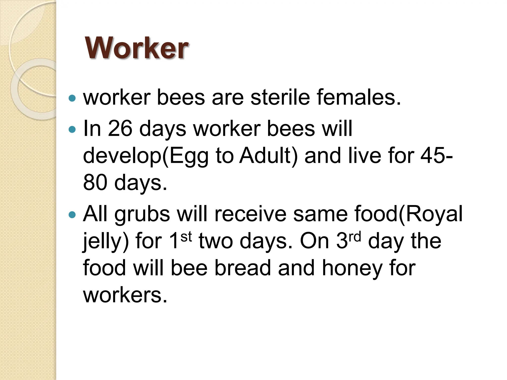 Presentation on Bee Keeping & Apiculture. | PPTX