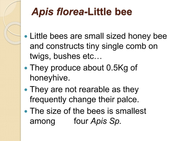 Presentation on Bee Keeping & Apiculture. | PPTX