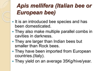Presentation on Bee Keeping & Apiculture. | PPTX