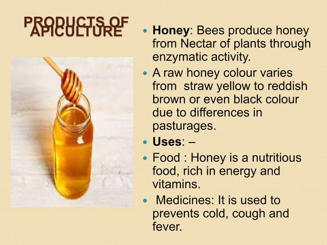 Presentation on Bee Keeping & Apiculture. | PPTX