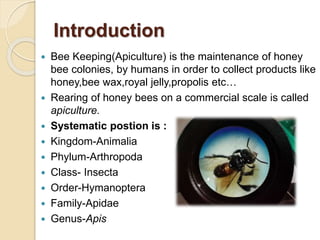 Presentation on Bee Keeping & Apiculture. | PPTX