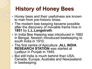 Presentation on Bee Keeping & Apiculture. | PPTX