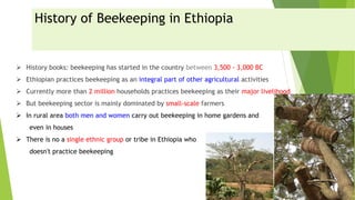 Beekeeping practices in ethiopia | PPTX
