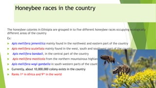 Beekeeping practices in ethiopia | PPTX