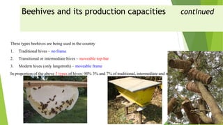 Beekeeping practices in ethiopia | PPTX