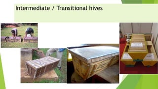 Beekeeping practices in ethiopia | PPTX