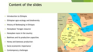Beekeeping practices in ethiopia | PPTX