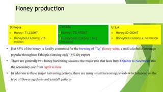 Beekeeping practices in ethiopia | PPTX