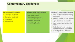 Beekeeping practices in ethiopia | PPTX