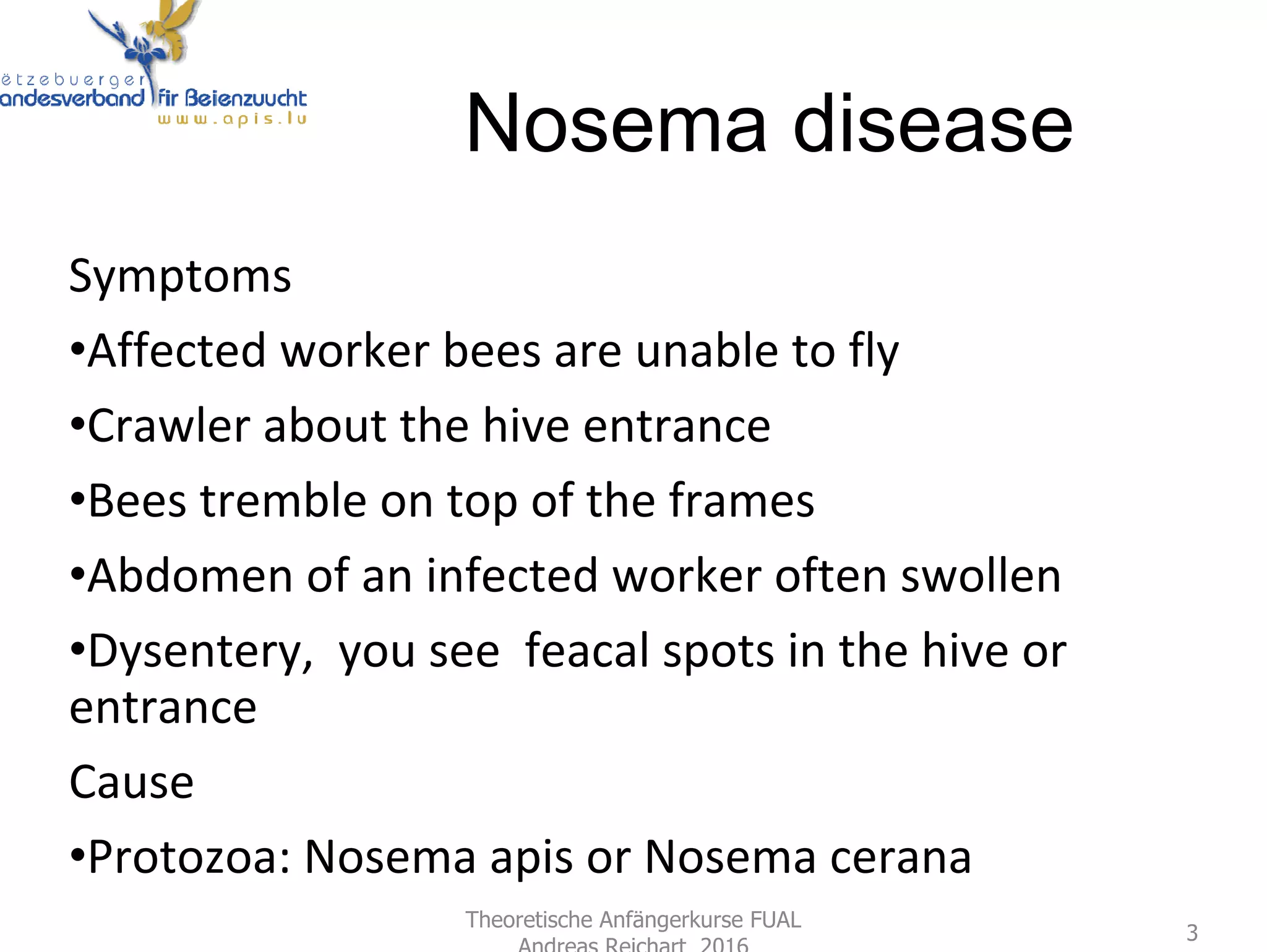 Beekeeping theory disease and pests of honey bee | PDF