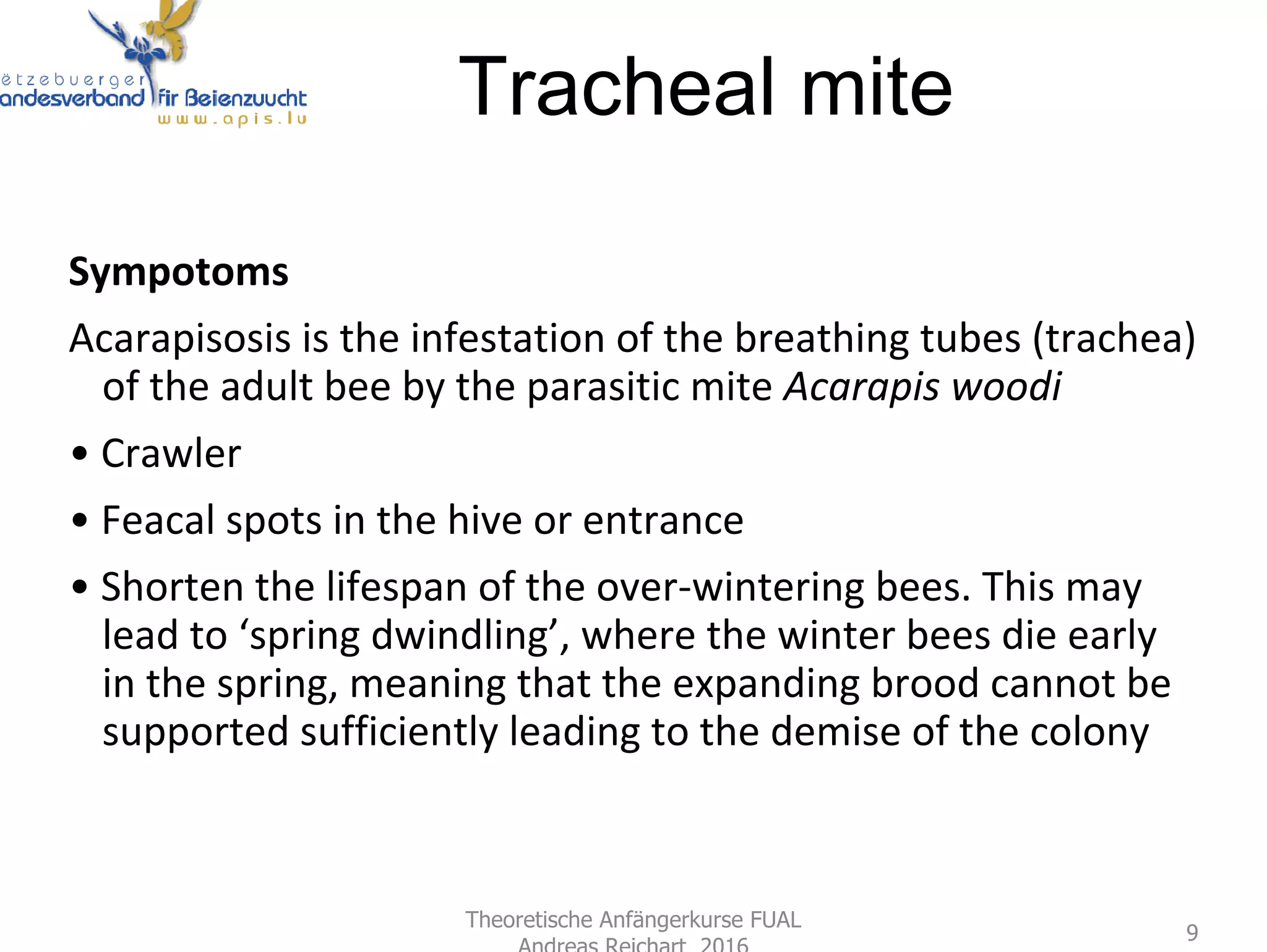 Beekeeping theory disease and pests of honey bee | PDF