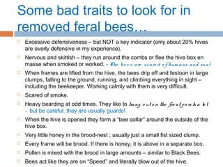 Beekeeping with NM Feral Honeybees | PPT