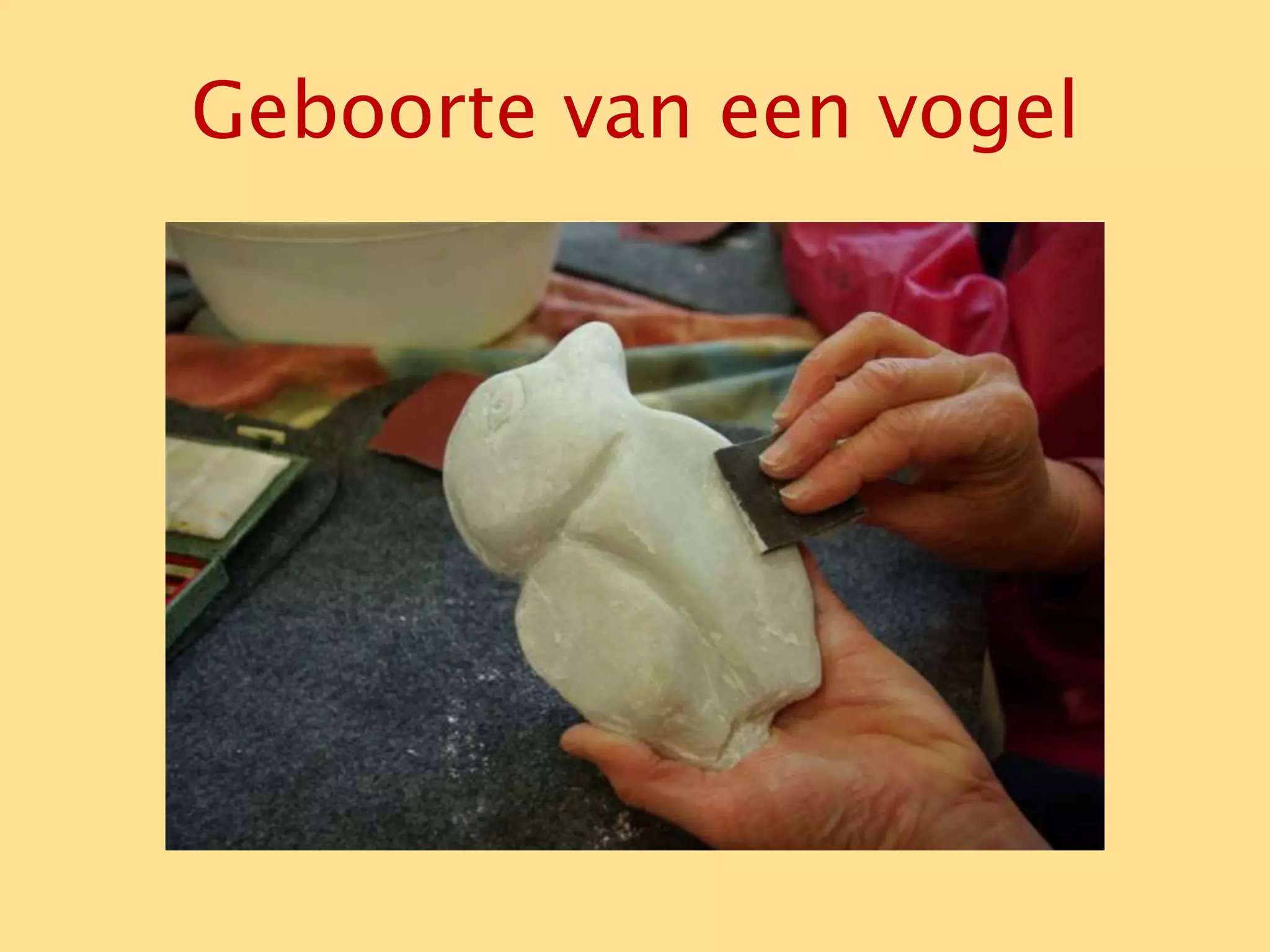 Beelden overzicht powerpoint | PPT