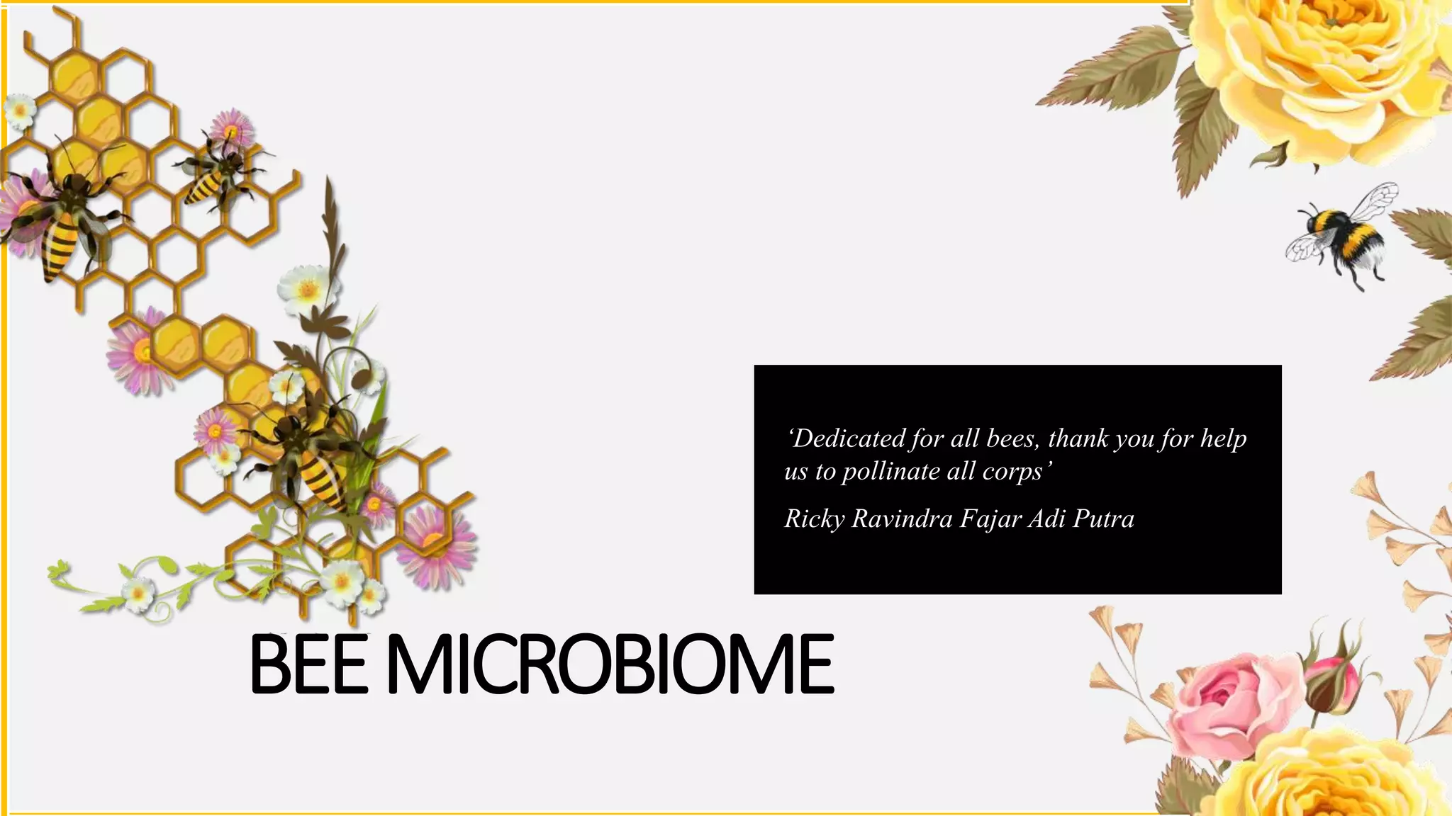 Bee microbiome dedication | PPTX | Beekeeping | Hobbies & Interests