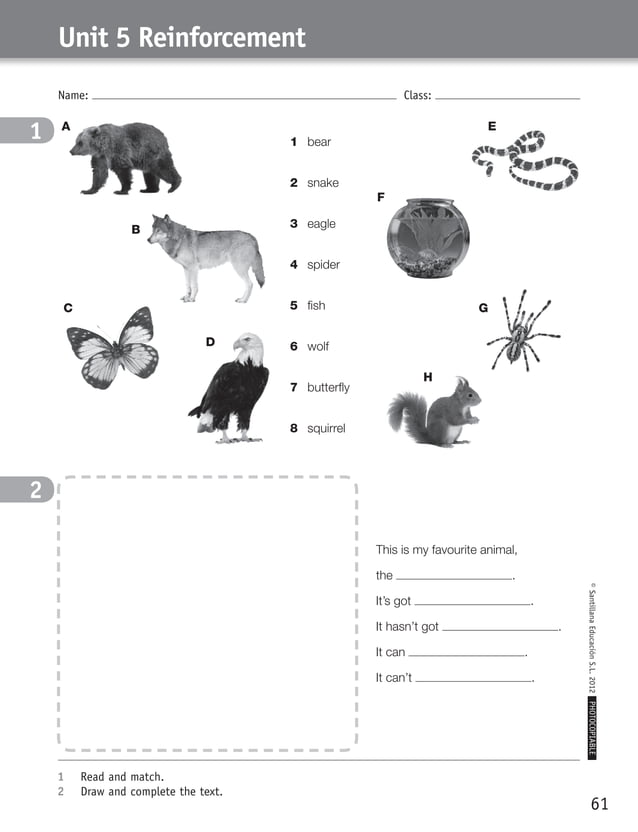 Beep 3 worksheet | PDF