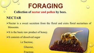 Bee pasturage | PPTX | Beekeeping | Hobbies & Interests