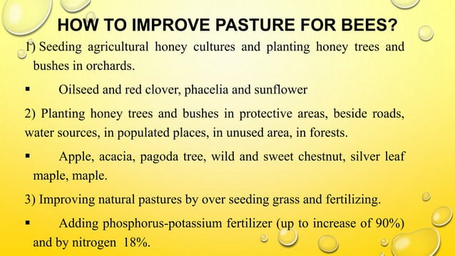 Bee pasturage