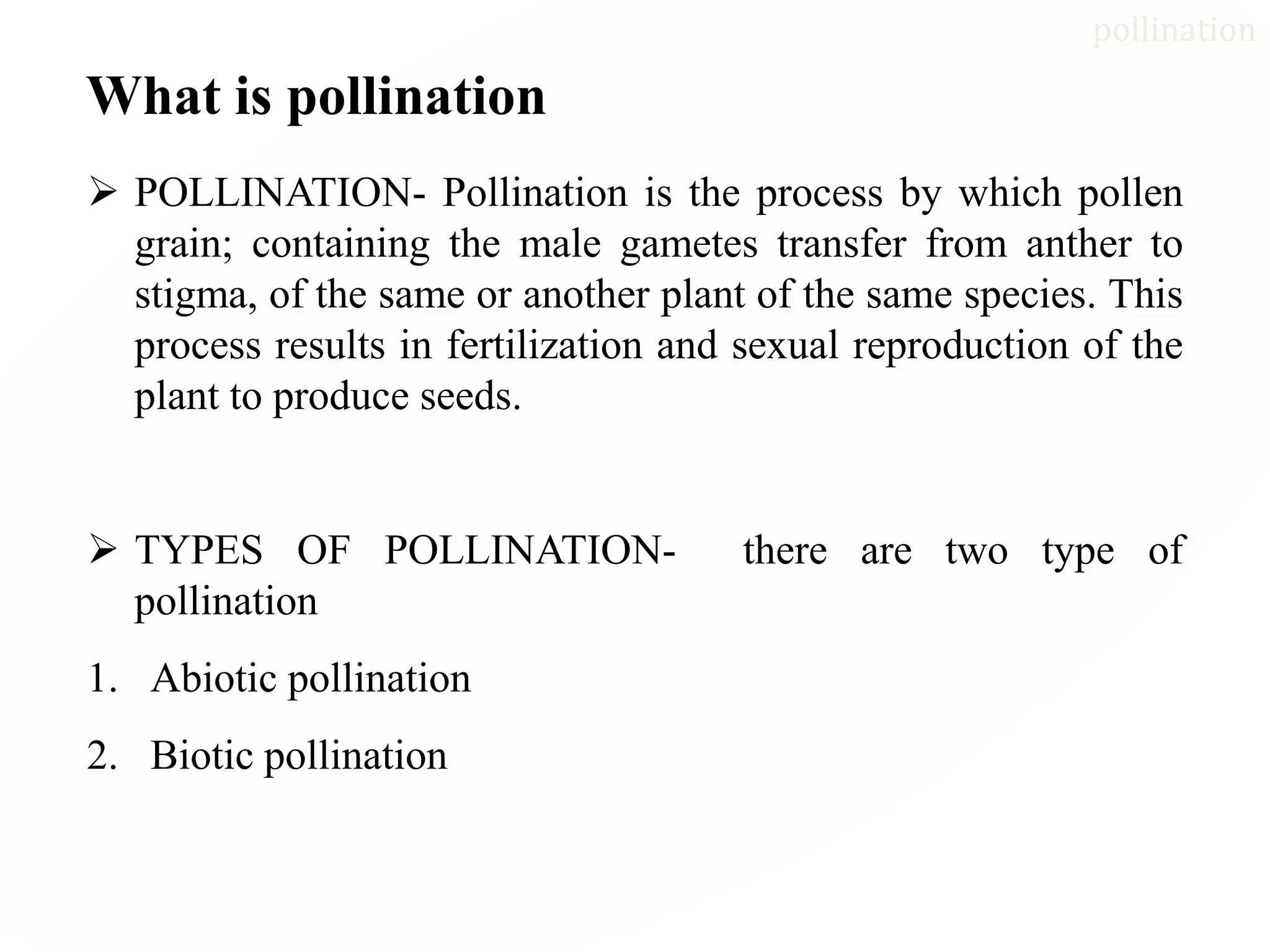 Bee polinators | PPT