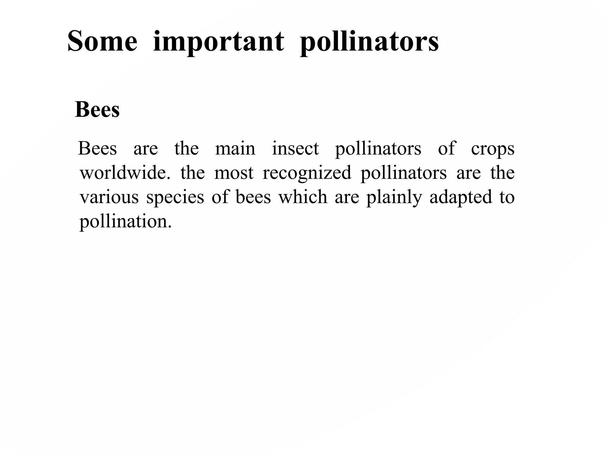 Bee polinators | PPT