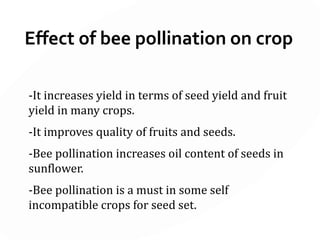 Bee polinators | PPT