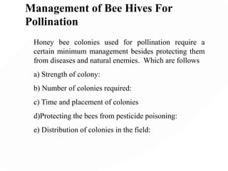 Bee polinators | PPT