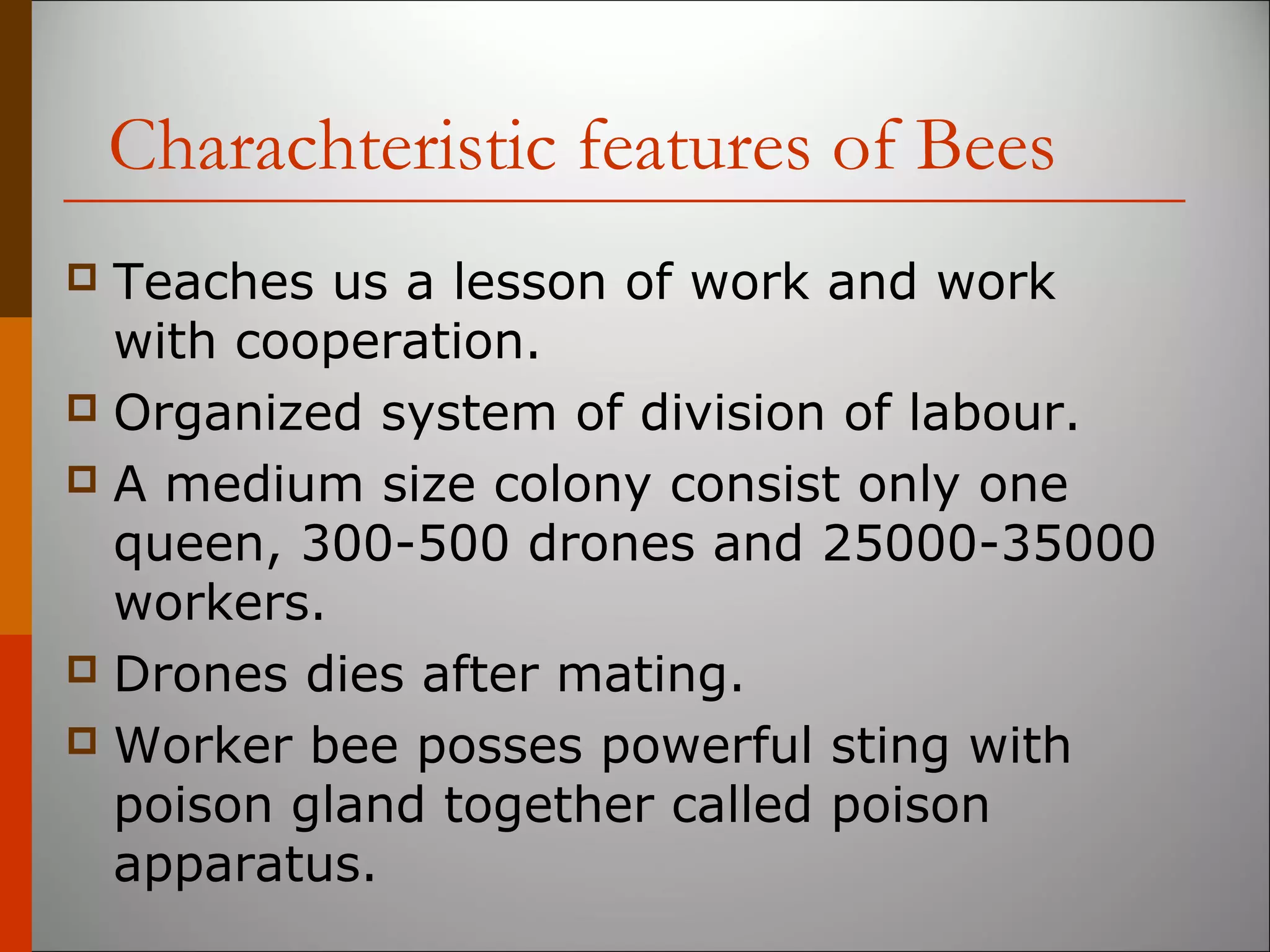 Bee presentation | PPT