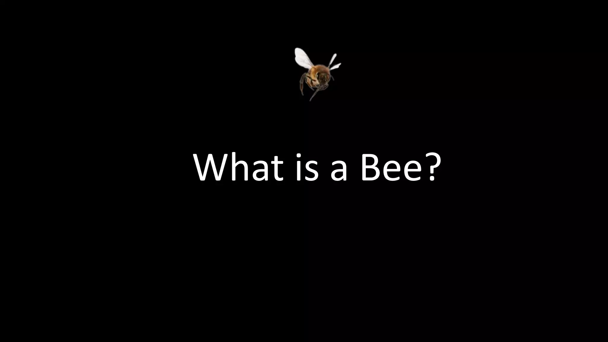 Bee presentation for kids | PPTX | Beekeeping | Hobbies & Interests