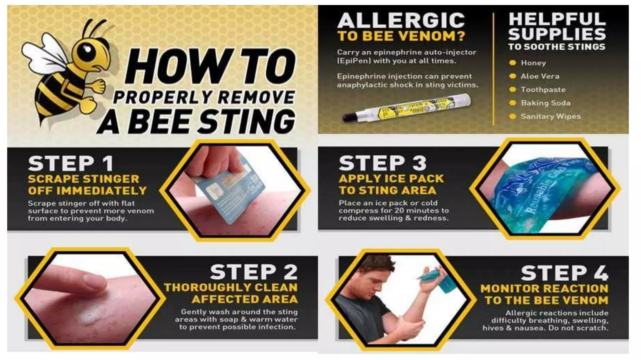 Bee presentation for kids | PPTX | Beekeeping | Hobbies & Interests