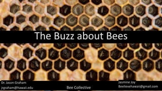 Bee presentation for kids | PPTX