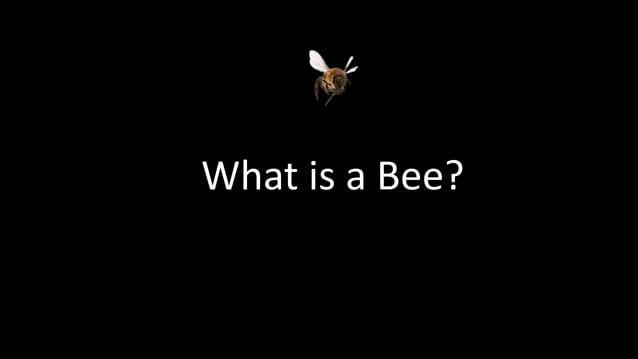 Bee presentation for kids | PPTX | Beekeeping | Hobbies & Interests